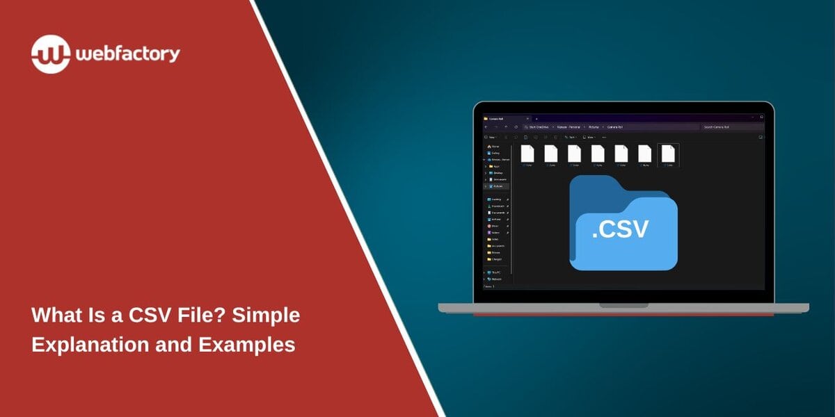 What Is a CSV File? Simple Explanation and Examples